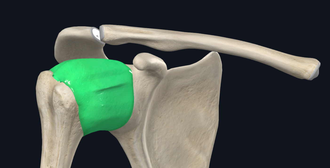 Capsulitis Adhesiva del Hombro "Hombro Congelado" - Dr Alejandro Lopez ...